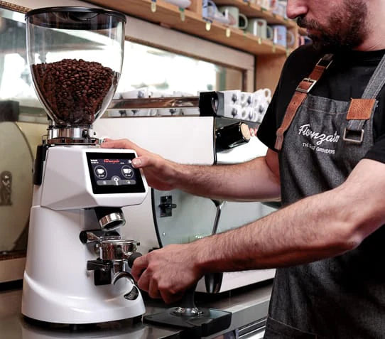 Discover the Excellence of Fiorenzato with Complete Cafe Services