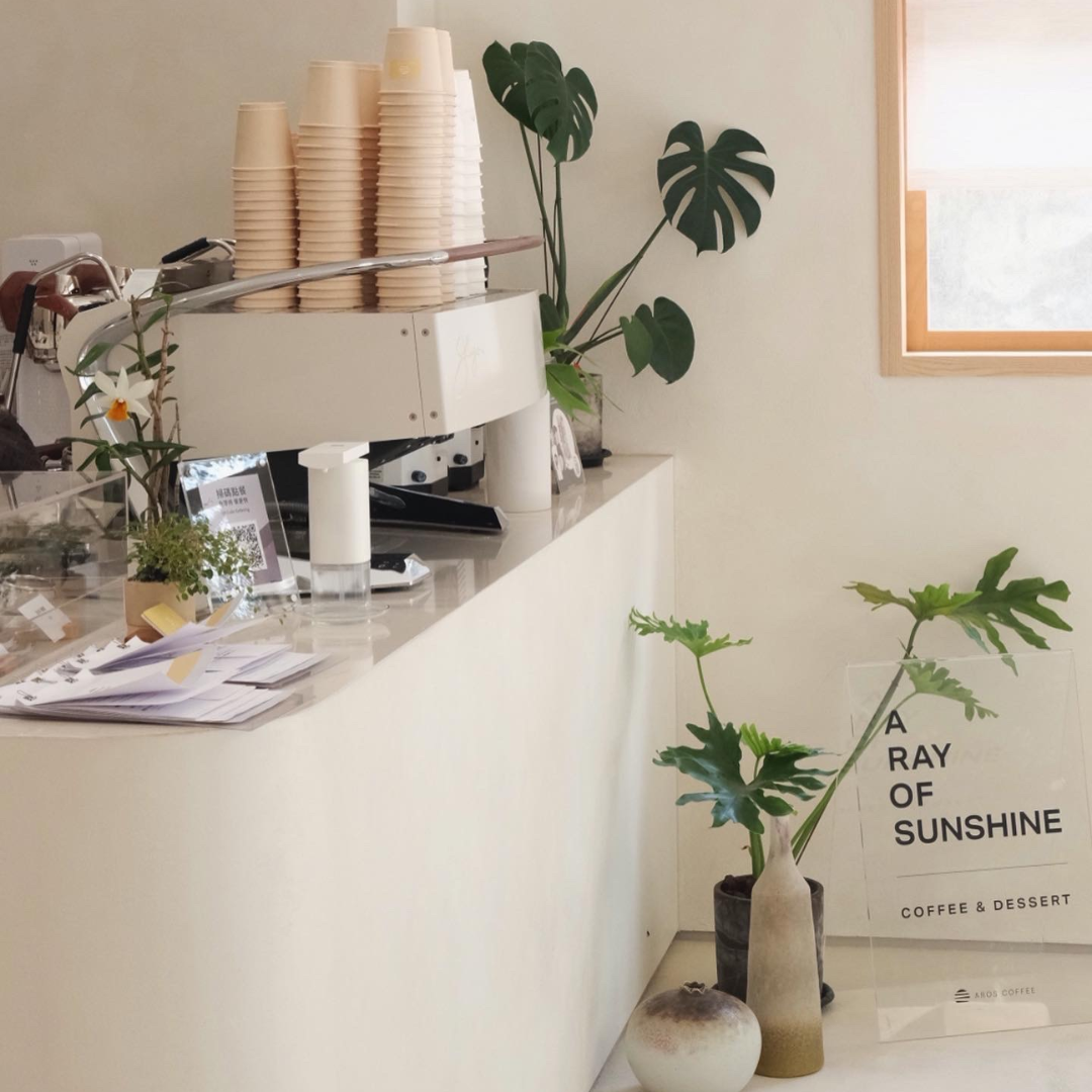 Difference between Robusta and Arabica Coffee – Complete Cafe Services